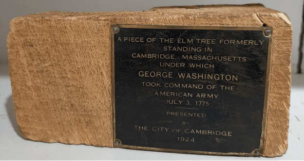 Elm Tree Plaque - American Independence Museum